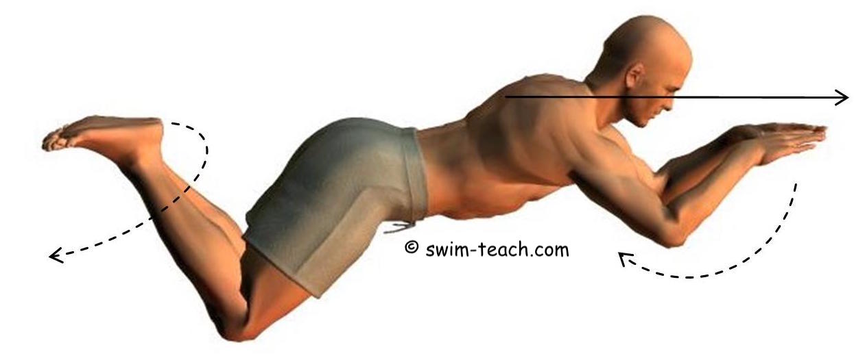 Basic Swimming Strokes Made Simple For Beginners To Master