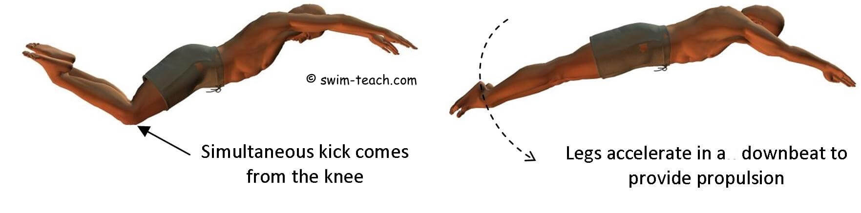 Basic Butterfly Stroke Broken Down And Made Easy basic-butterfly-stroke-broken-down-and-made-easy