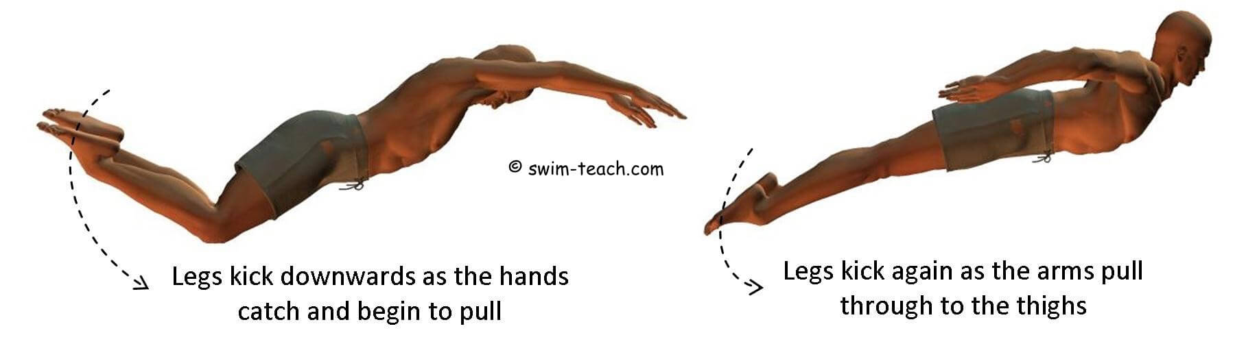 Basic Butterfly Stroke Broken Down And Made Easy basic-butterfly-stroke-broken-down-and-made-easy